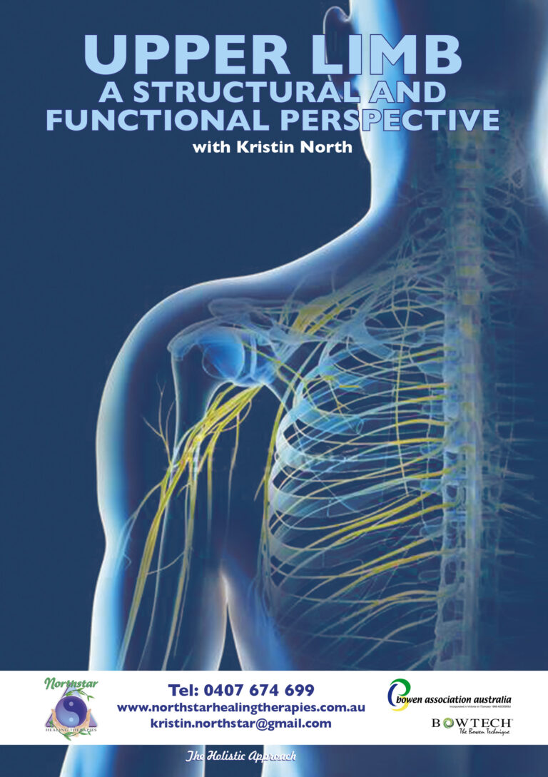 North Star Healing Therapies Upper Limb - A Structural and Functional ...